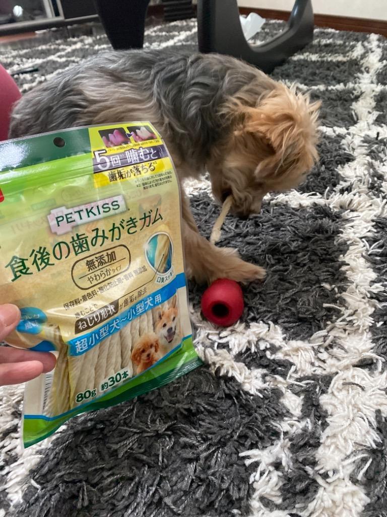 PETKISS ライオン ペットキッス PETKISS 食後の歯みがきガム 無添加 やわらかタイプ 超小型犬〜小型犬用 80g（約30本） 犬 歯磨き おやつ : チャーム charm ヤフー ...