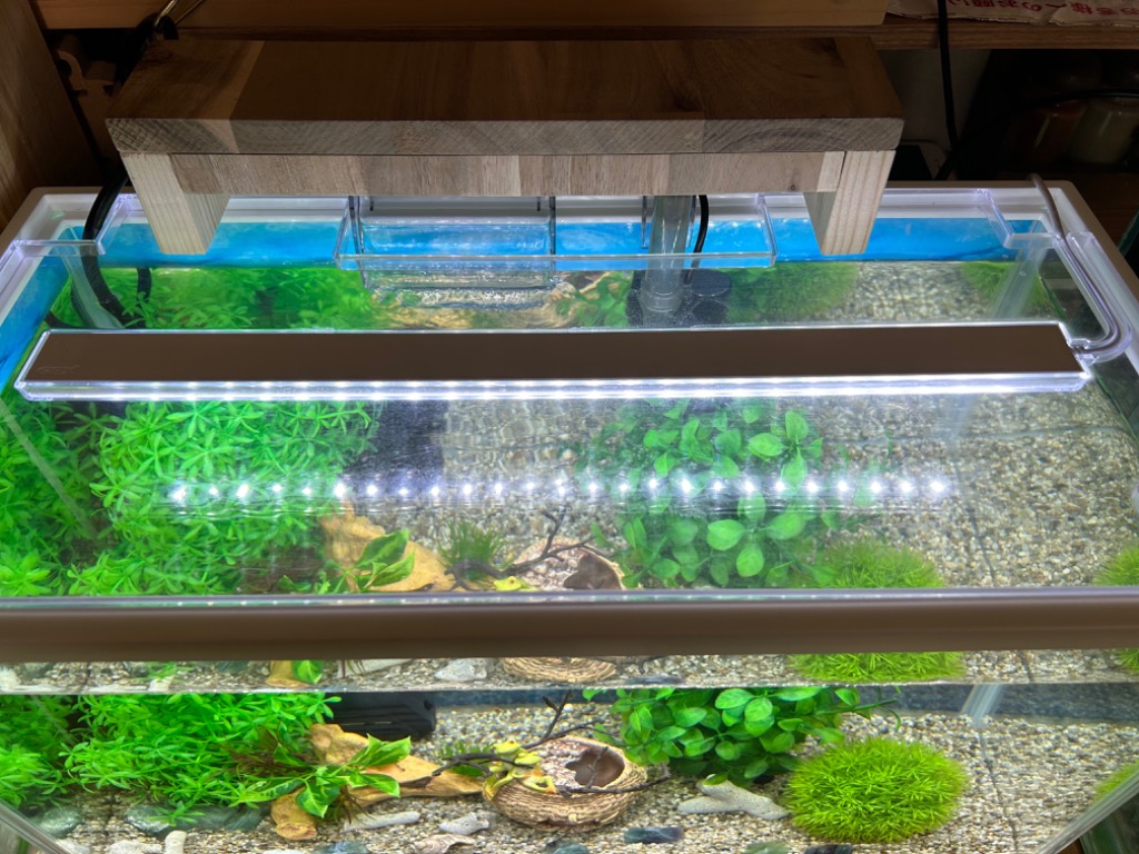 GEX GEX クリアLED フラッティ 4052 ホワイト USB ライト 水槽 照明 : チャーム charm ヤフー店 - 通販 - Yahoo!ショッピング