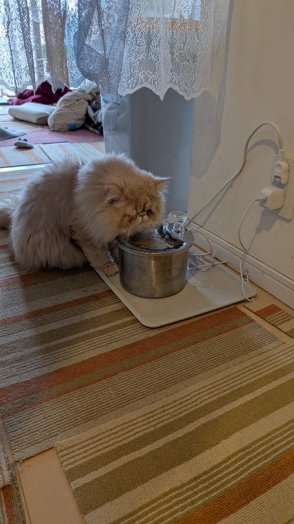 自動給水器 ペット給水器 猫 犬 ステンレス製 2L大容量 多頭飼いも対応 20dB静音 洗いやすい 取付簡単 循環式 給水器ペット 猫給水器 水やり器 給水機 給水装置 : 智恒ショッピング ...