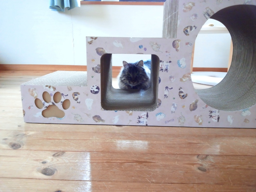 猫 爪とぎ ダンボール （キャットワールド柄）ステップトンネル くらふと工房クレアル 日本製 爪磨き 爪みがき 猫用品 :200:クレアル - 通販 - Yahoo!ショッピング