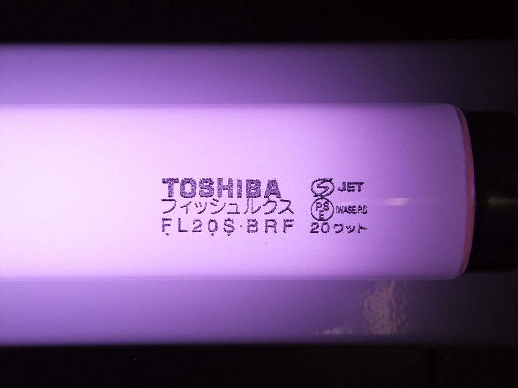 TOSHIBA 東芝 観賞魚用蛍光ランプ フィッシュルクス 直管 グロースタータ形 20W FL20S・BRF : 電材堂ヤフー店 - 通販 - Yahoo!ショッピング