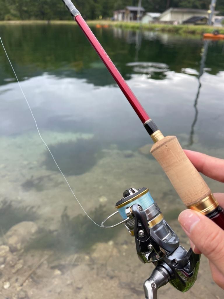 APPLAUD・サンヨーナイロン Z06 100m 2,2.5,3,3.5,4,5,6,8,10Lb ナイロンライン 日本製・国産(メール便対応) :4994942660209:フィッシング ...