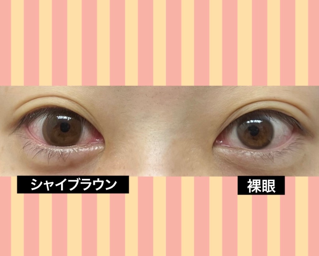 Lcode カラコン レヴィア ワンデー サークル ×1箱 ローラ カラコン ReVIA 1day : ファーストコンタクト - 通販 - Yahoo!ショッピング