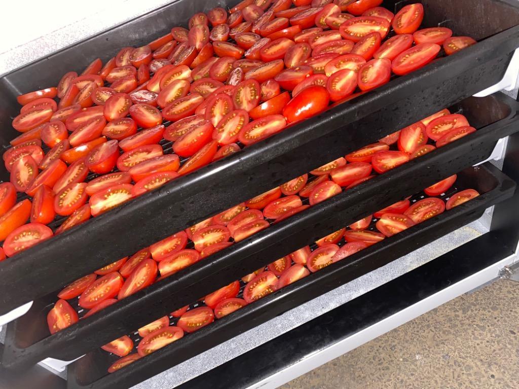 静岡製機 多目的電気乾燥機 ドラッピー DSJ-3A 単相100V DSJ-Aシリーズ [受注生産品] [法人限定] : ファーストヤフー店 - 通販 - Yahoo!ショッピング