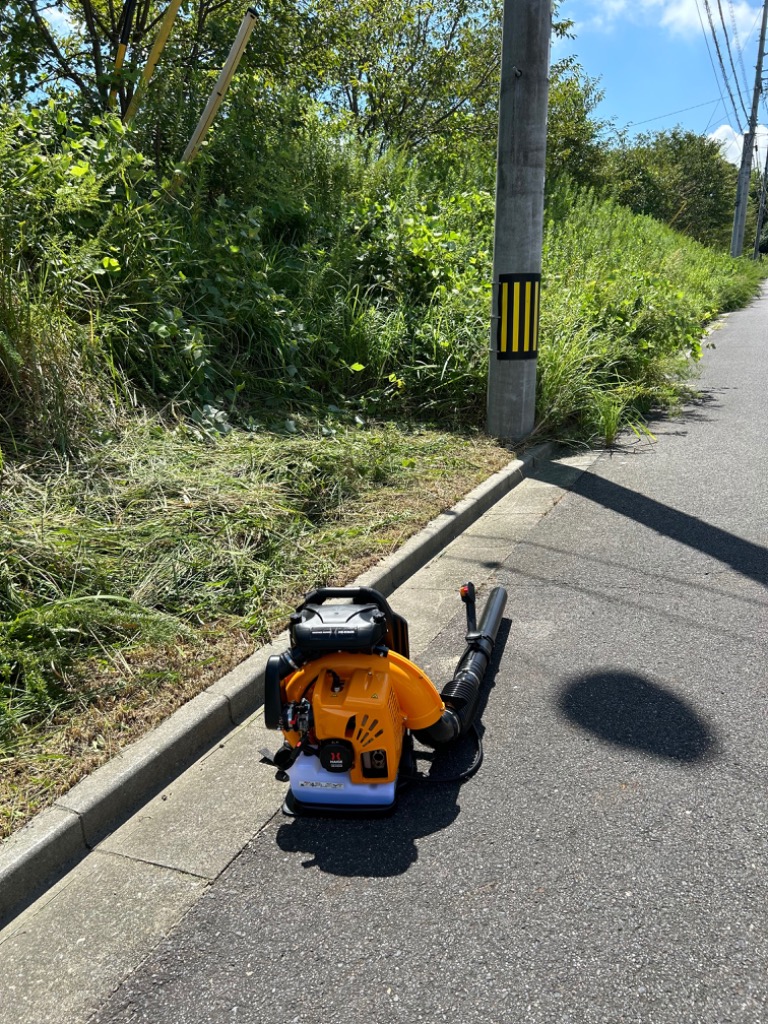 HAIGE ハイガー 背負い式 エンジンブロワー 業務用 63cc 最大風速78m/s ノズル2種類 HG-B263B 1年保証 : HAIGE - 通販 - Yahoo!ショッピング