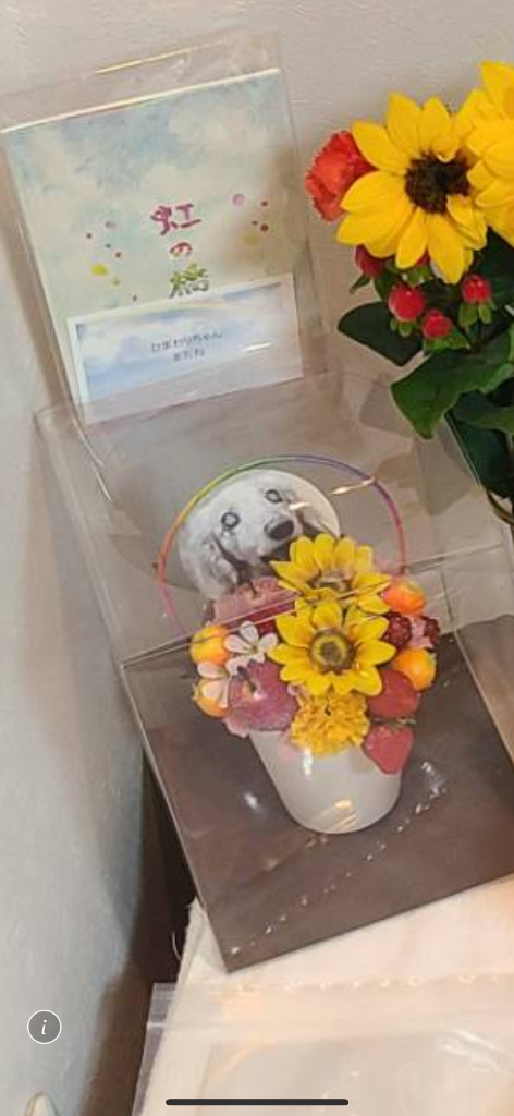 お供え 花 お悔やみ ペット 虹の橋 ひまわり パルフェ プリザーブドフラワー お花 犬 猫 命日 供花 仏花 枕花 一周忌 法要 ギフト 贈り物 枯れない花 : FLEGRE 1号店 ...