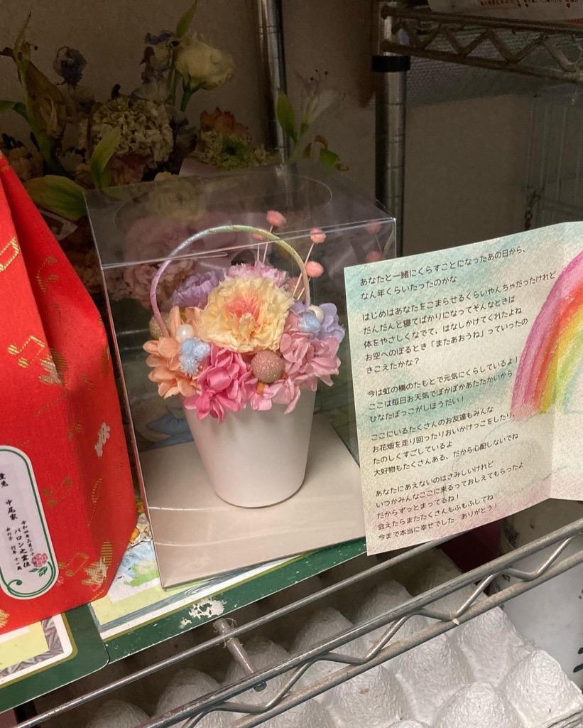 ペット お供え 花 虹の橋 トゥインクル お悔やみ 供花 プリザーブドフラワー 仏花 仏壇用 お花 ギフト 送る 犬 猫 うさぎ 命日 供養花 49日 法要 贈り物 : FLEGRE 2号店 ...