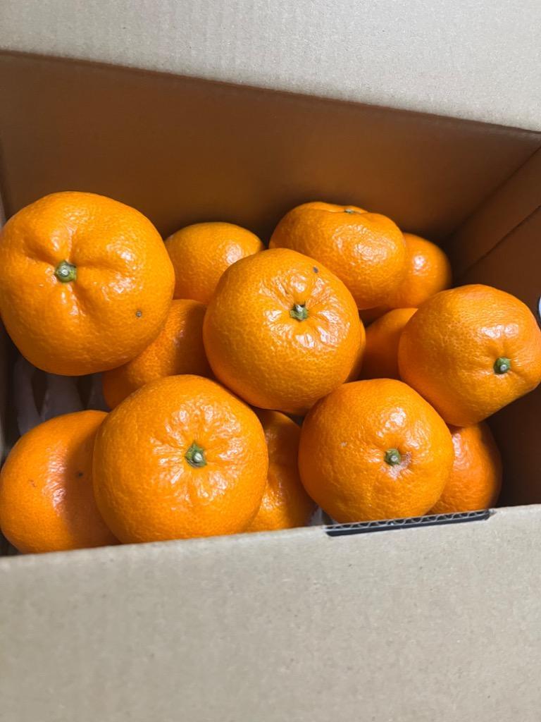 みかん 甘い ご家庭用 2kg 訳あり 2S〜3Lサイズ 10〜30玉前後入り 愛媛 西宇和地区 八幡浜市産 :emikan-w2:みかんの花 - 通販 - Yahoo!ショッピング