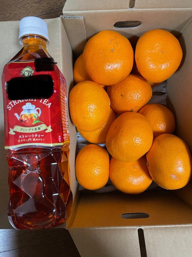 みかん 甘い ご家庭用 2kg 訳あり 2S〜3Lサイズ 10〜30玉前後入り 愛媛 西宇和地区 八幡浜市産 :emikan-w2:みかんの花 - 通販 - Yahoo!ショッピング