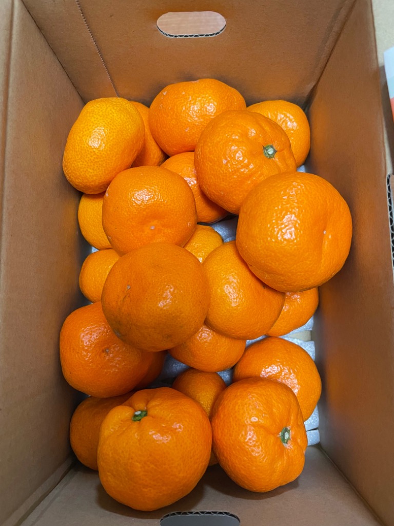 みかん 甘い ご家庭用 2kg 訳あり お試し 2S〜3Lサイズ 10個〜30個前後入り 愛媛 西宇和 八幡浜 ミカン 蜜柑 サイズおまかせ 010137000404 :emikan-w2 ...