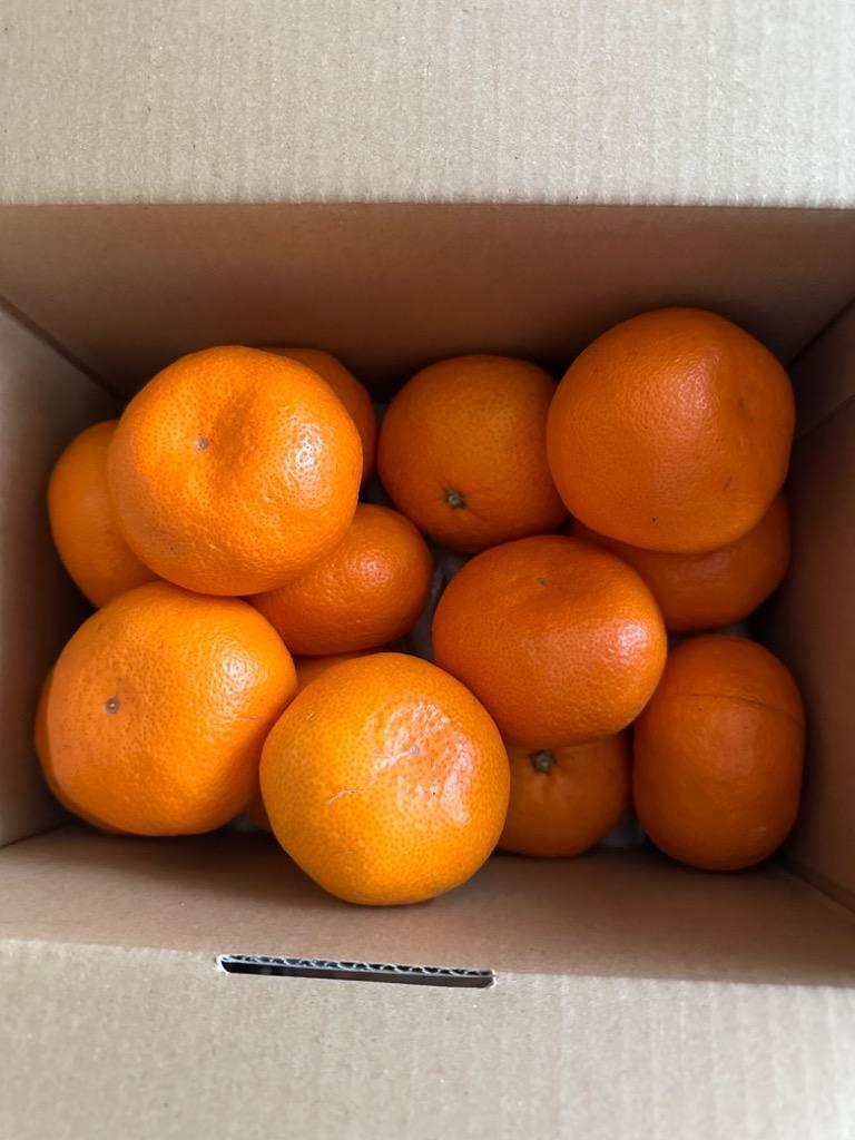 みかん 甘い ご家庭用 2kg 訳あり 2S〜3Lサイズ 10〜30玉前後入り 愛媛 西宇和地区 八幡浜市産 :emikan-w2:みかんの花 - 通販 - Yahoo!ショッピング