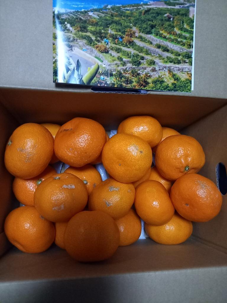 みかん 甘い ご家庭用 2kg 訳あり 2S〜3Lサイズ 10〜30玉前後入り 愛媛 西宇和地区 八幡浜市産 :emikan-w2:みかんの花 - 通販 - Yahoo!ショッピング