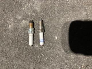 BOSCH ボッシュ スパークプラグ Y7LER02 0241135520 ドイツ製 純正OEM アウディ フォルクスワーゲン ...