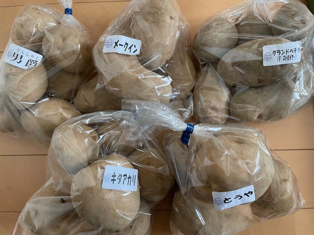 販売期間2025/03/31まで 野菜 じゃがいも 新じゃが 食べ比べ5種類セット+玉ねぎ 産地直送 : owl-prod-seller-3056-product-33780 : 産直アウル ...