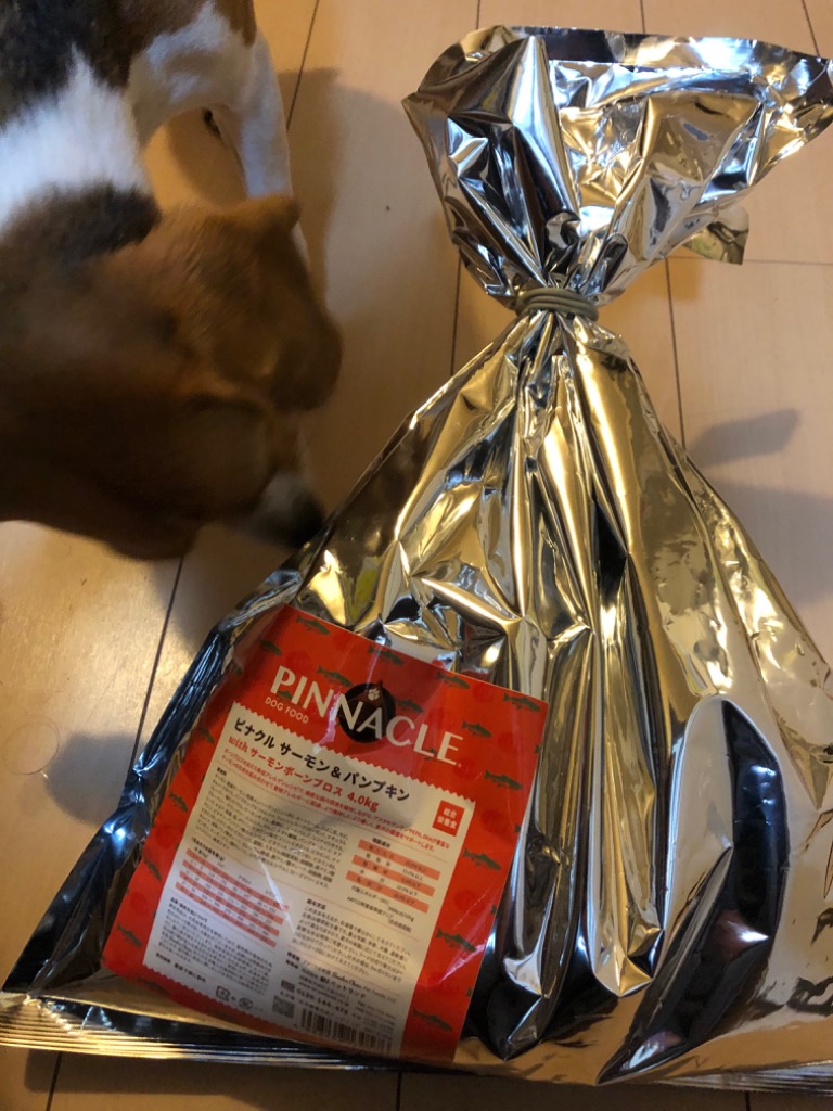 PINNACLE（ペットフード） ピナクル サーモン & パンプキン 4.0kg : ぺとやすYahoo!店 - 通販 - Yahoo!ショッピング