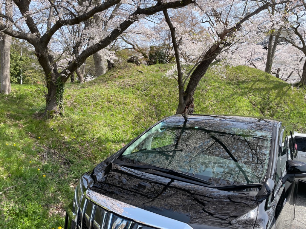 信越化学 シリコーンオイル1L KF96-50CS-1 ワックス ペット容器 送料無料 ギフト : プリ花Plus ヤフー店 - 通販 - Yahoo!ショッピング