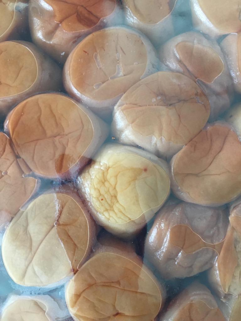 梅干し 訳あり はちみつ漬け 塩分4％ 800g 訳あり梅ちゃん 超訳あり梅干し 梅干し 訳あり 紀州南高梅 つぶれ梅 キズあり 皮が硬め :6100008:訳あり梅ちゃん - 通販 ...