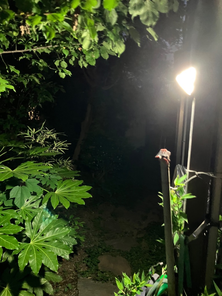 LED ソーラーライト センサーライト 自動点灯 屋外 2個セット 310LED ガーデンライト 防犯 3つの点灯モード 光センサー 防犯ライト FIVESHINER : SHOP EAST ...