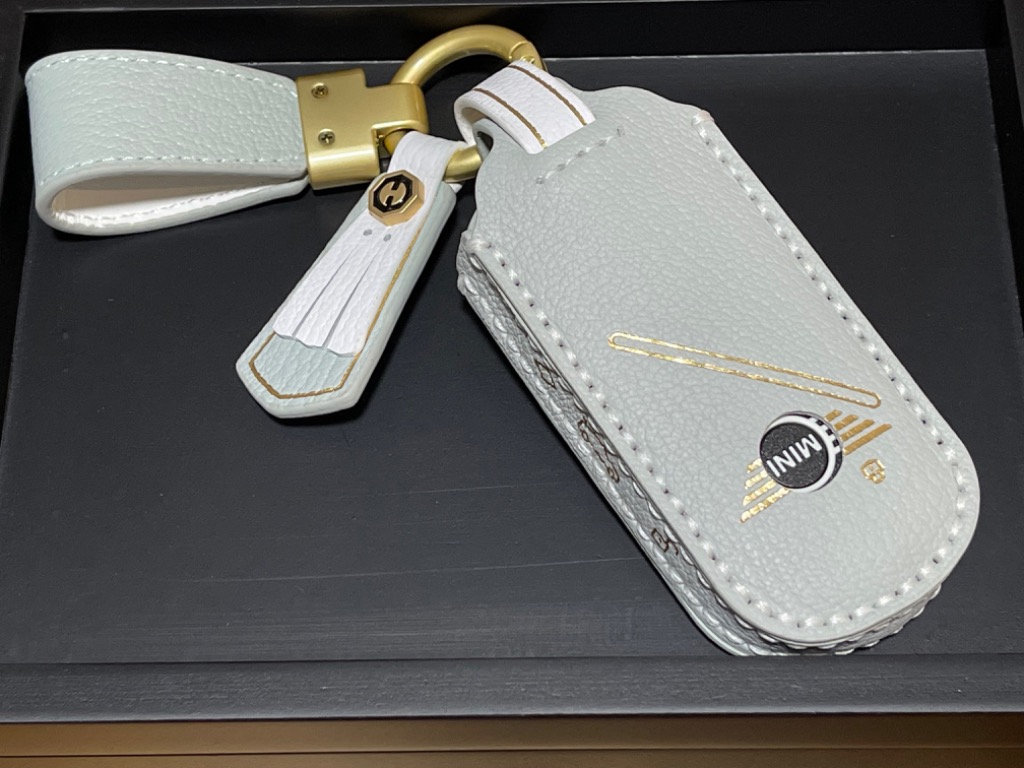 くすみカラー MINI COOPER 3DOOR F66 / JO1 新型 キーケース カントリーマン 2024年発売 対応 キーカバー スマートキーケース : スマート屋 - 通販 ...