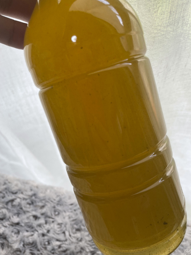 キリン キリン 生茶 525ml × 24本 ラベルレス ペットボトル 生茶 お茶（ソフトドリンク） - 口コミ・レビュー - Yahoo!ショッピング