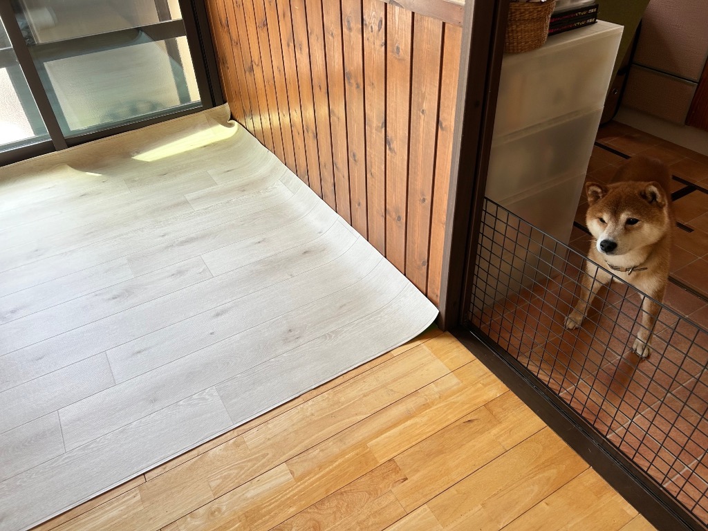 ポンリューム ペット対応 クッションフロア 抗菌 シンコール 2.0mm厚 182cm巾 : ビバ建材通販 DIY店 - 通販 - Yahoo!ショッピング