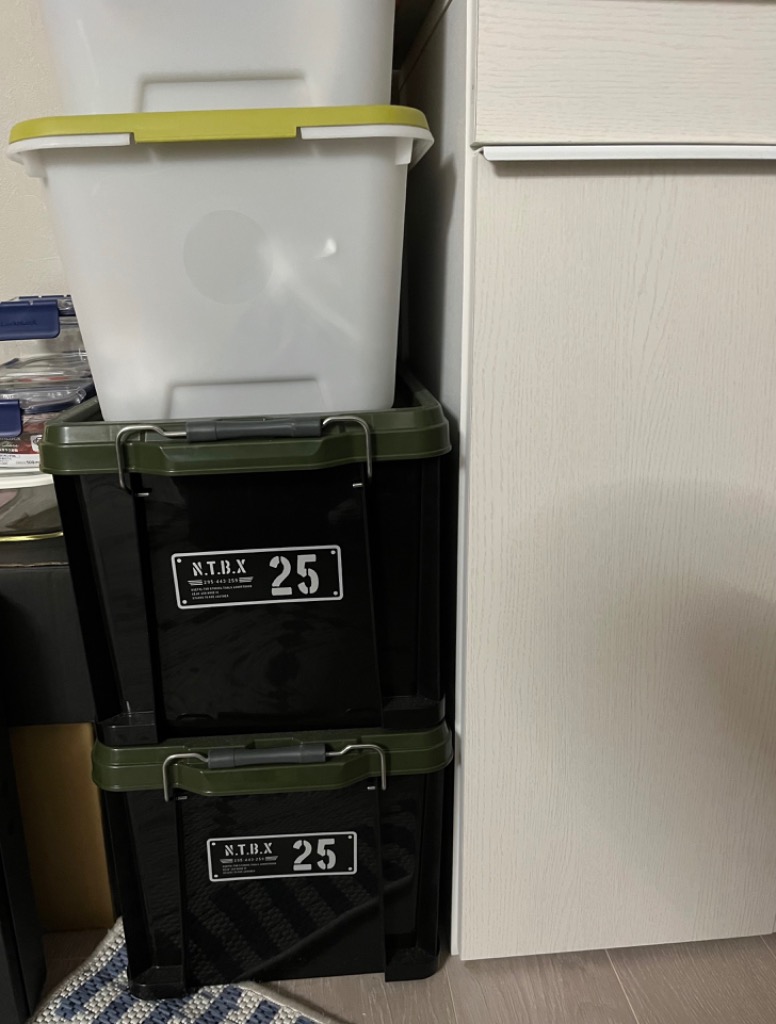 JEJアステージ NTボックス 外寸295×443×259mm [コンテナボックス 収納 ボックス アウトドア 工具入れ 道具入れ] 25X 【お一人様4点限り ...