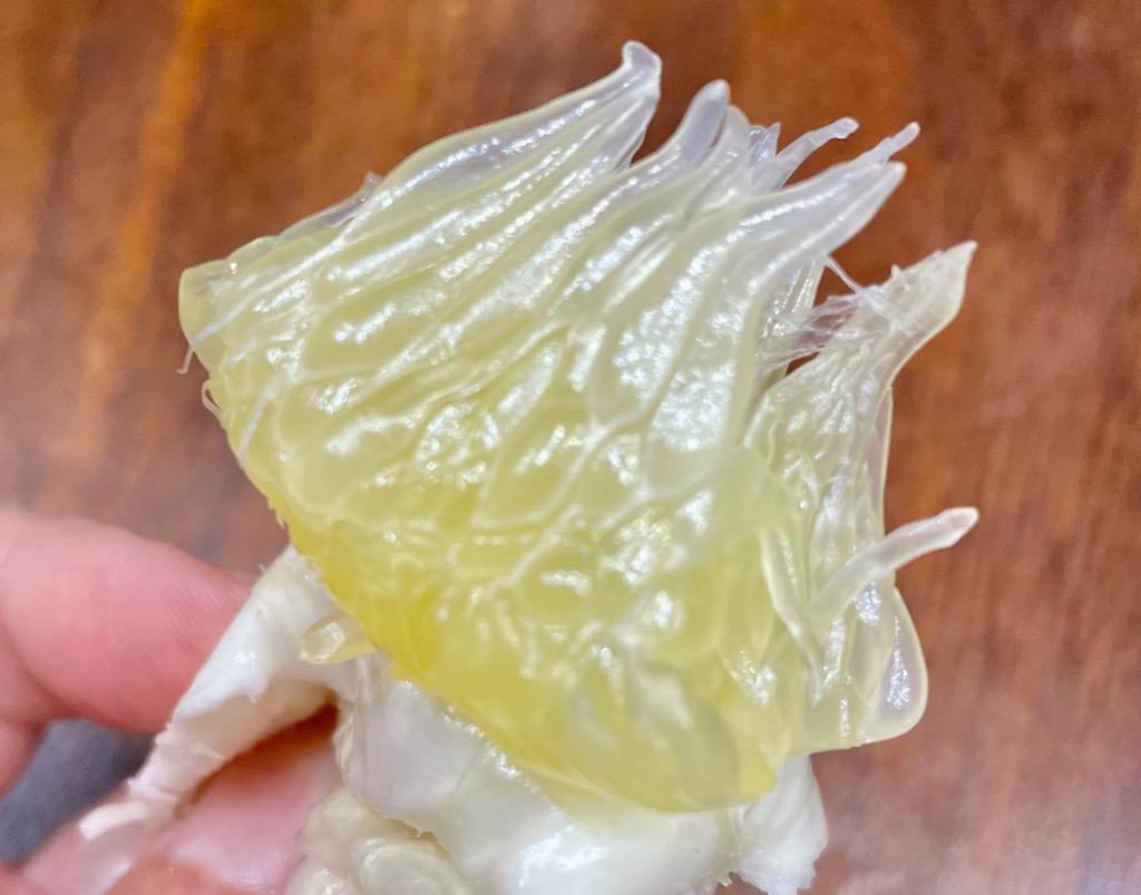 大玉限定 訳あり 激安大特価! 土佐文旦 4L〜 3L サイズ混合 10kg 送料無料 ぶんたん 露地土佐文旦 【3営業日以内に発送致します】 :buntan8:高知土佐文旦のお店よさ来い ...